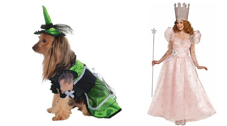 10 Halloween Costumes For Pets & Owners That Will Ensure You Win The ...