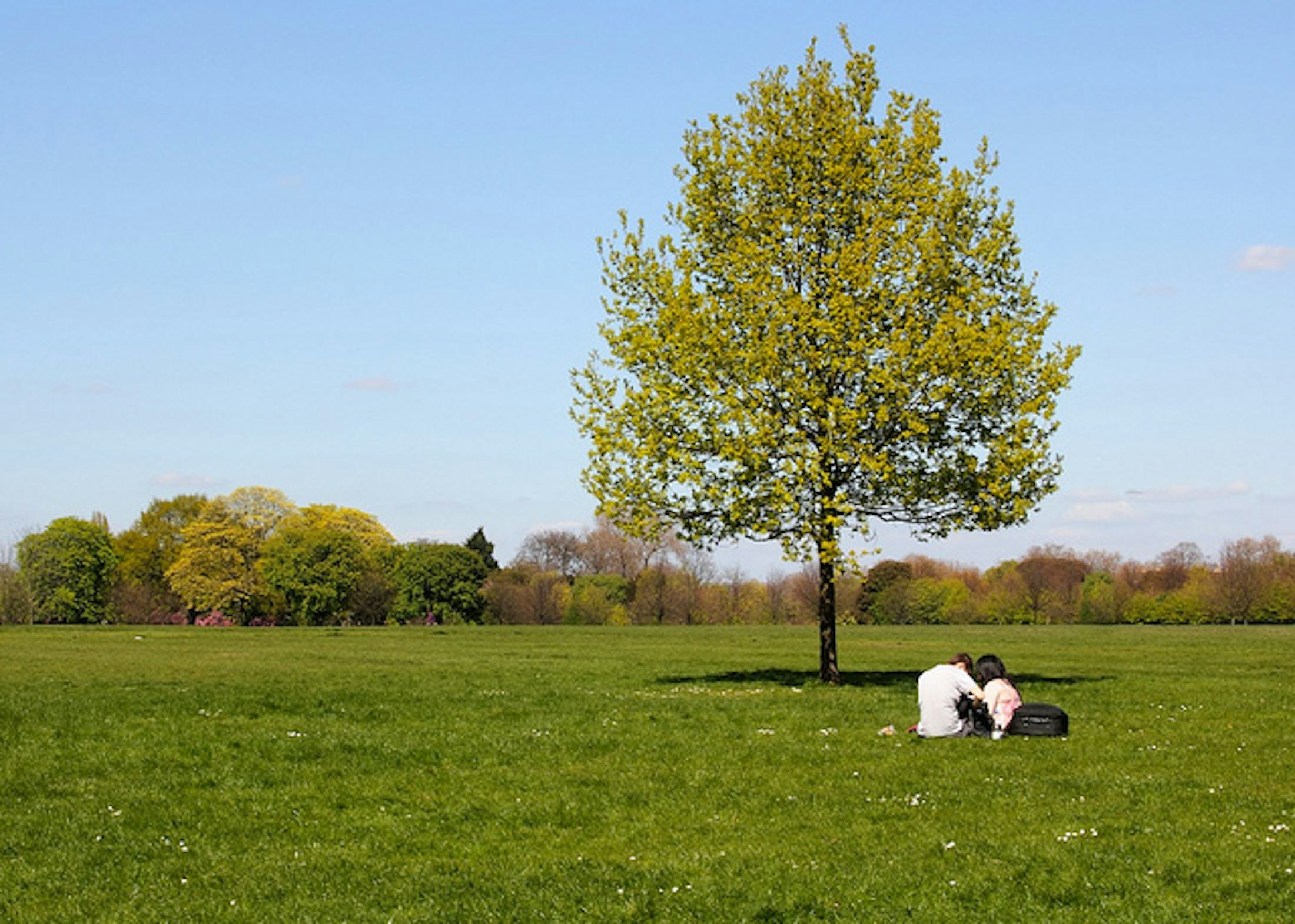 14 Love Poems To Get You In a Sappy Mood For Valentine’s Day