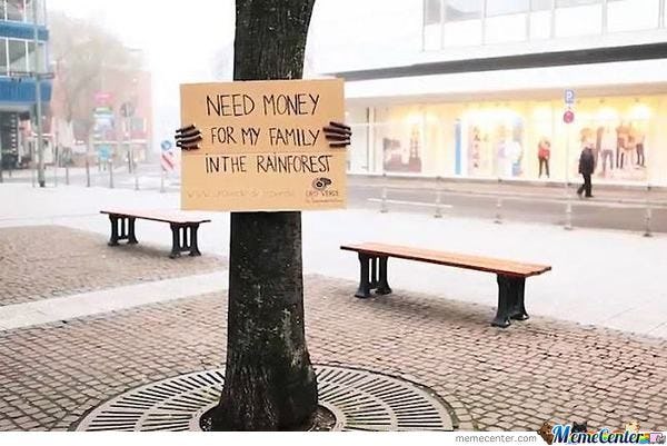 10 Arbor Day Memes To Inspire You To Plant A Tree