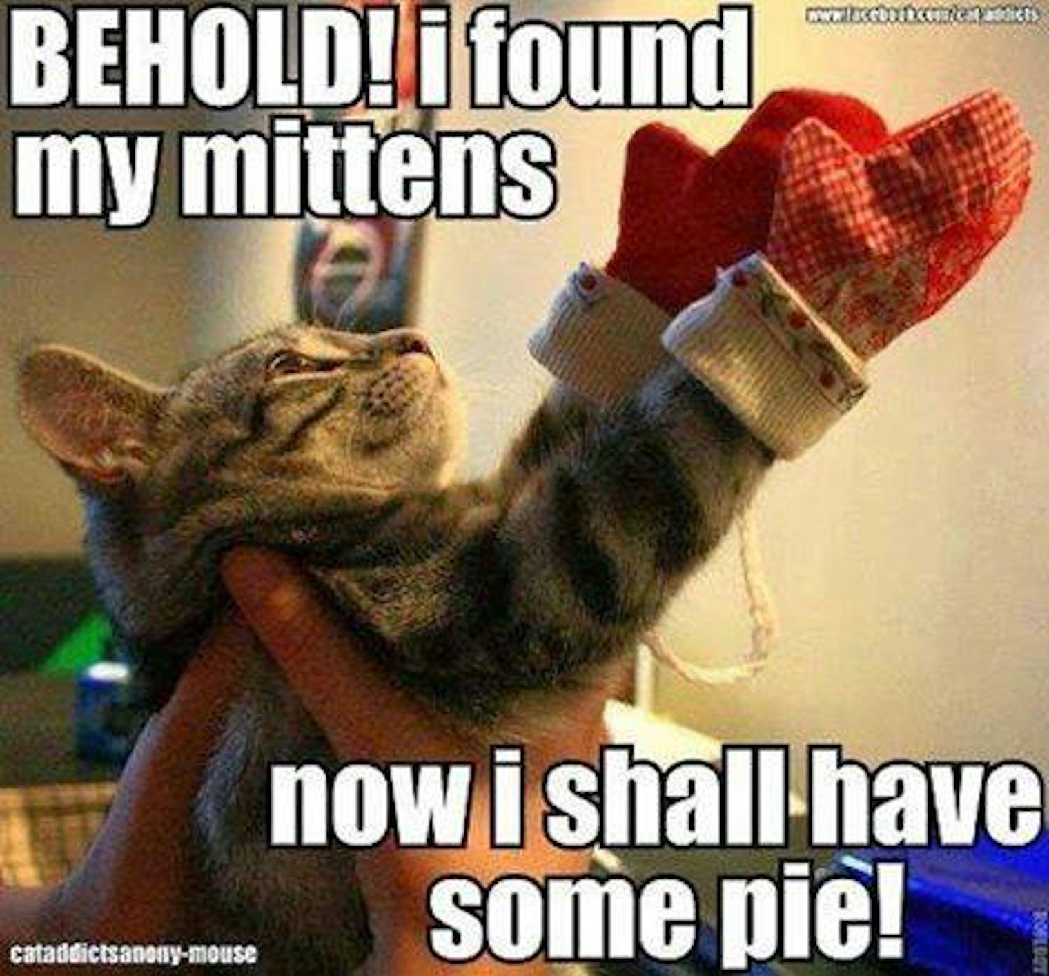 7 Funny Fall Memes To Share On Facebook That Celebrate The First Day Of Autumn 2016