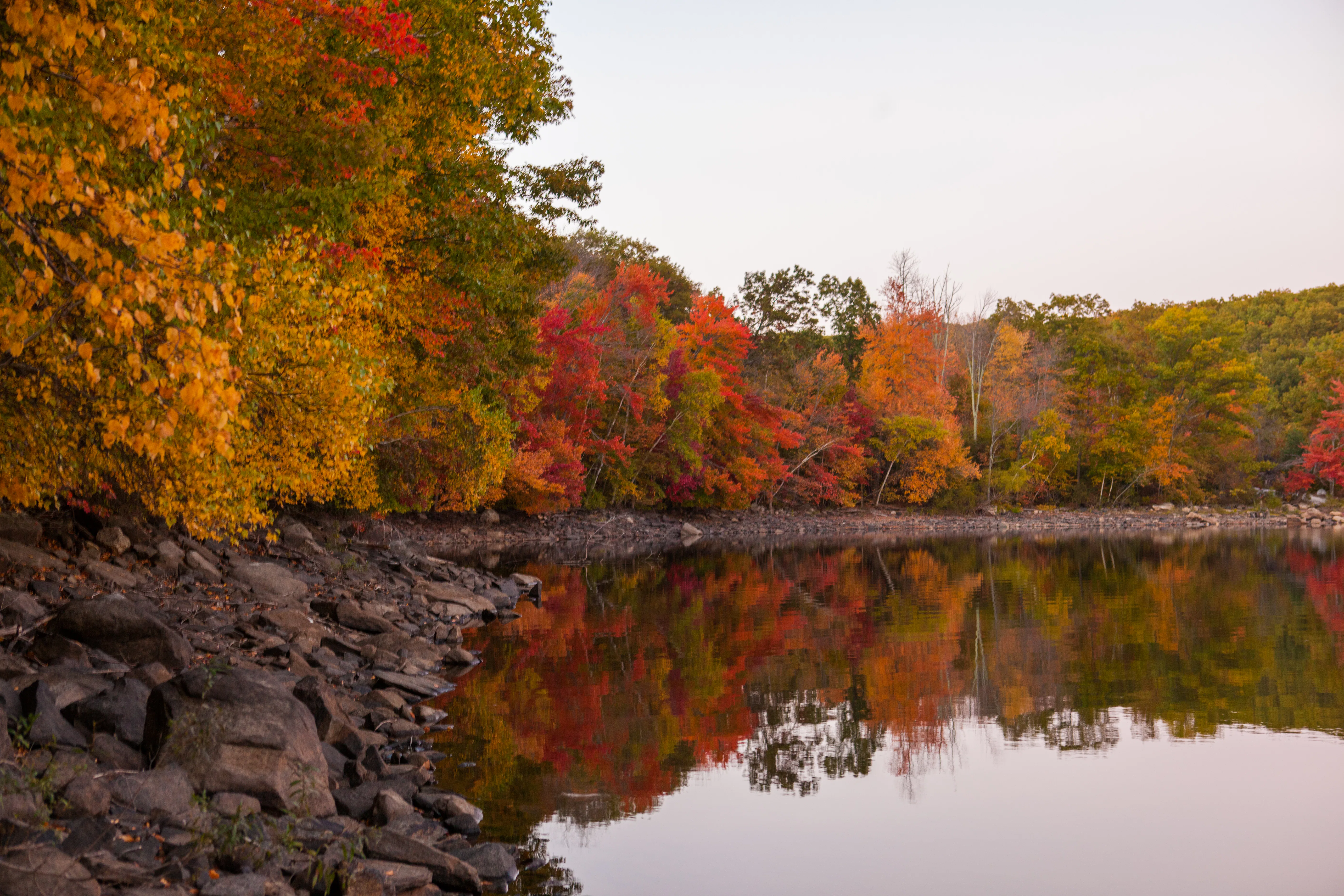12 Inspiring Fall Quotes That Will Reinforce Your Love For The Best ...