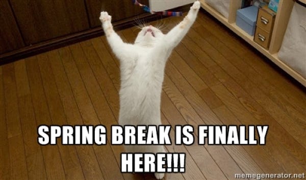 18 Spring Break Memes For Those Who Get Time Off, And Those Who Wish ...