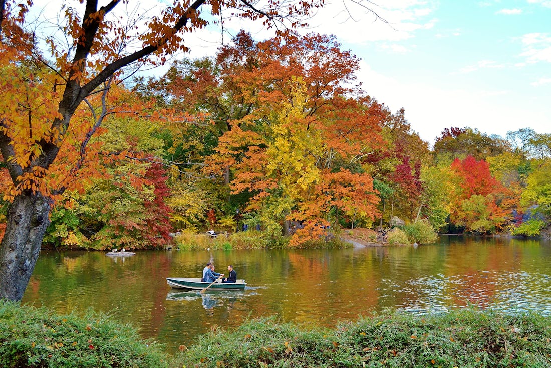 10 Autumn Quotes To Get You Excited About the First Day of Fall