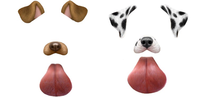 3 Snapchat Dog Halloween Costume Ideas That Will Transform You Into ...