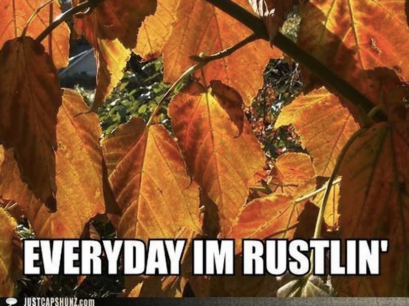 12 Fall Memes That Will Get You Ready For Your Favorite Season