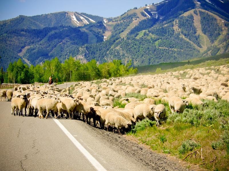 10 Small Cities to Visit in 2015 That Should Absolutely Be on Your ...