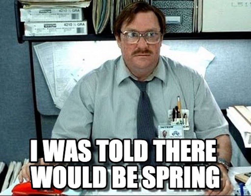 15 Funny Spring Memes To Get You Through These Chilly 15 Funny Spring Memes To Get You Through These Chilly