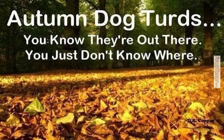 7 Funny Fall Memes To Share On Facebook That Celebrate The First Day Of Autumn 2016