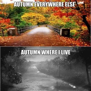 14 Fall Memes So You Can Usher In The Greatest Season Of Them All With ...