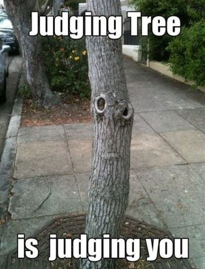 10 Arbor Day Memes To Inspire You To Plant A Tree