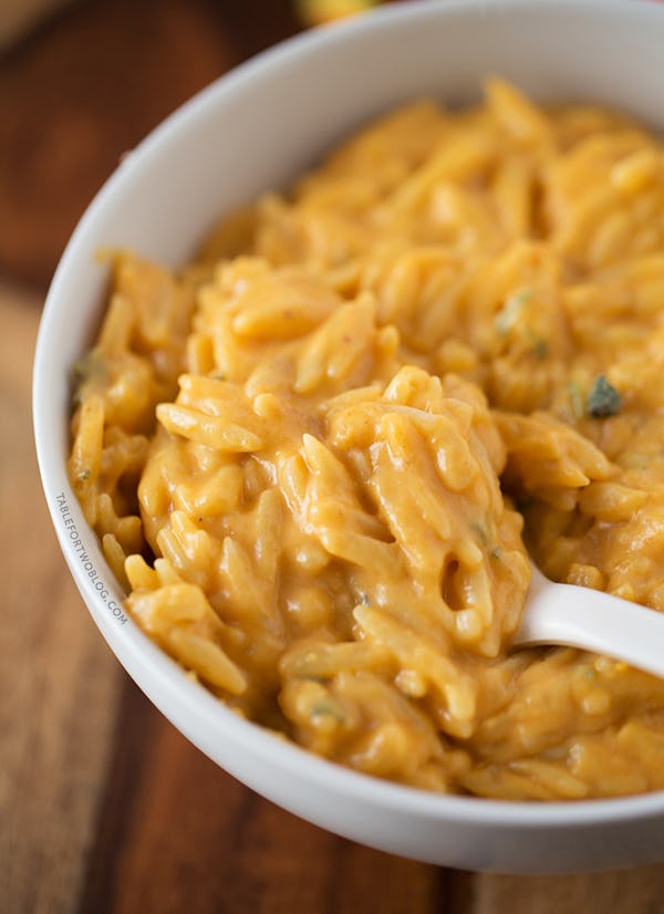 21 Cheesy Recipes For Fall, Because Cheese Makes Your Seasonal ...