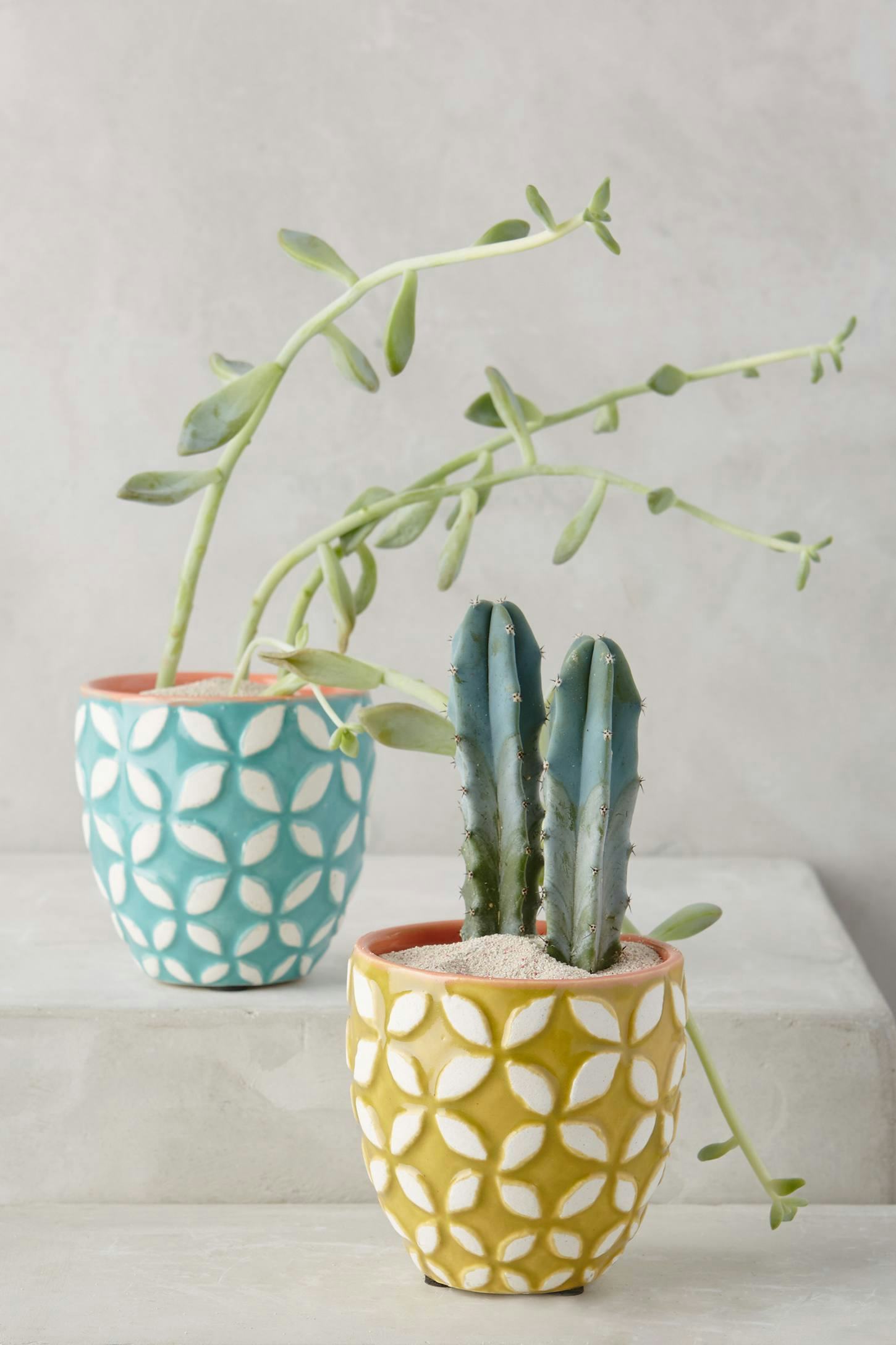18 Unique Planters To Help Bring A Bit Of Springtime To Your Home