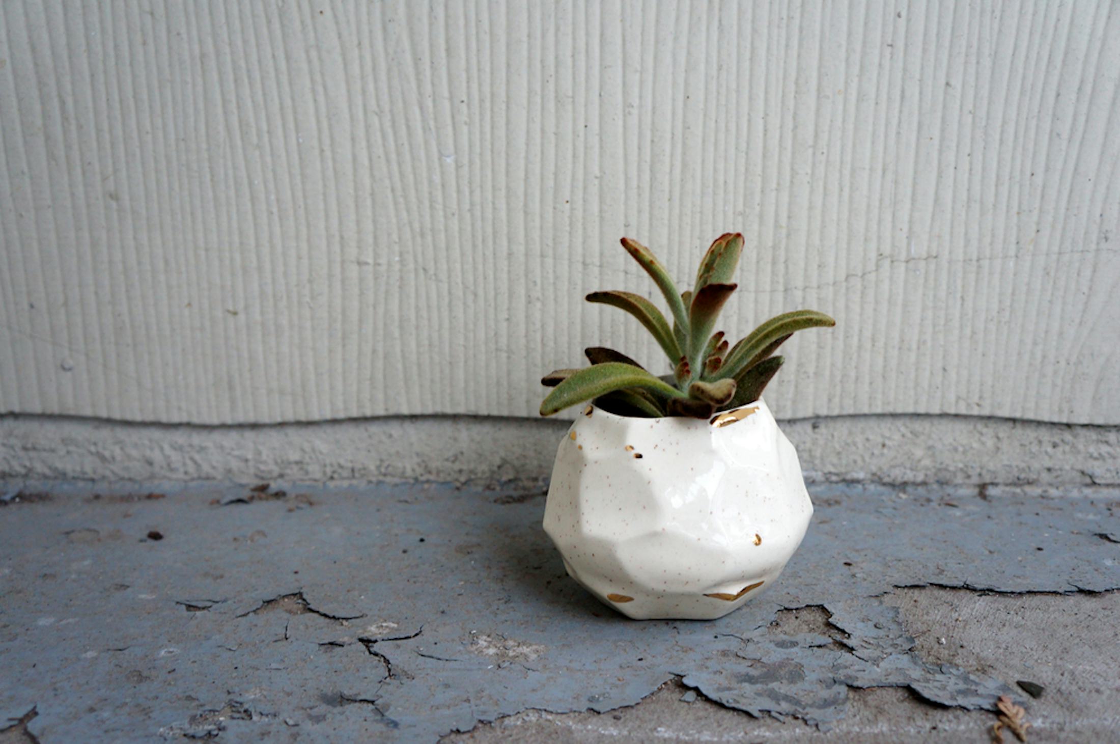 18 Unique Planters To Help Bring A Bit Of Springtime To Your Home