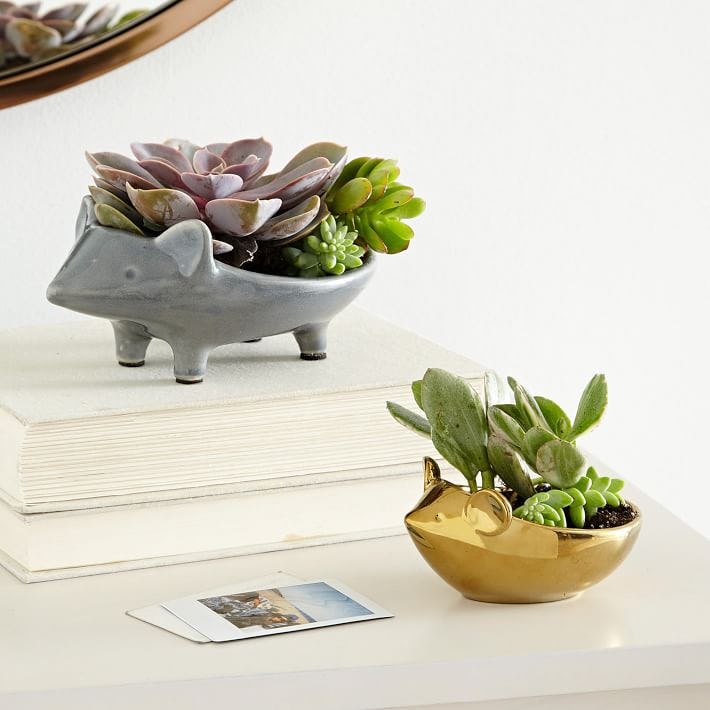 18 Unique Planters To Help Bring A Bit Of Springtime To Your Home