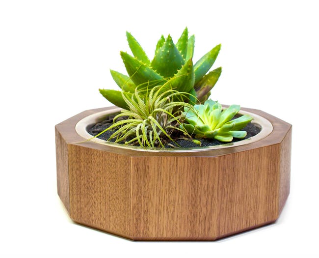 18 Unique Planters To Help Bring A Bit Of Springtime To Your Home