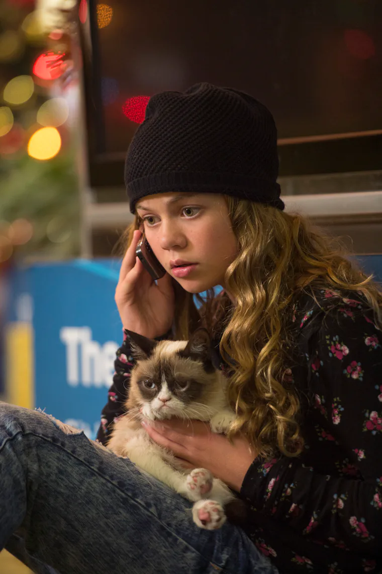 How To Watch Grumpy Cat s Worst Christmas Ever Online See The Meme how-to-watch-grumpy-cat-s-worst-christmas-ever-online-see-the-meme