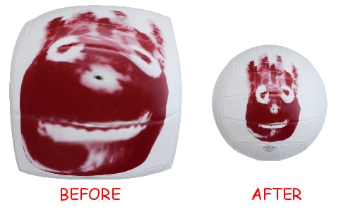 What Is Wilson From 'Cast Away' Up To Today? The Movie Star Volleyball ...