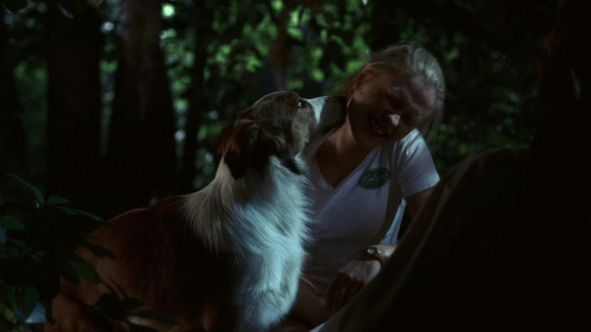 9 Things You Never Noticed About The 'True Blood' Pilot, 6 Years Of ...