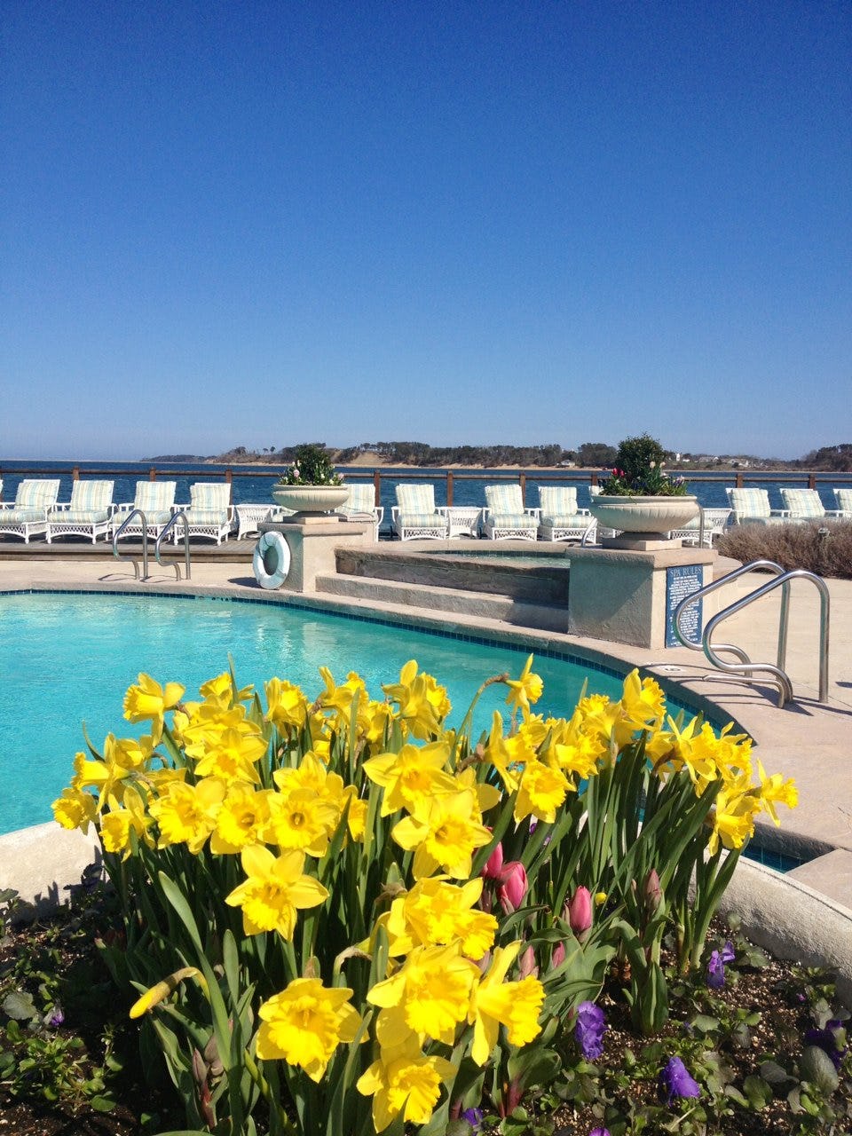 20 Reasons To Visit Cape Cod This Summer, Because Everyone Should ...