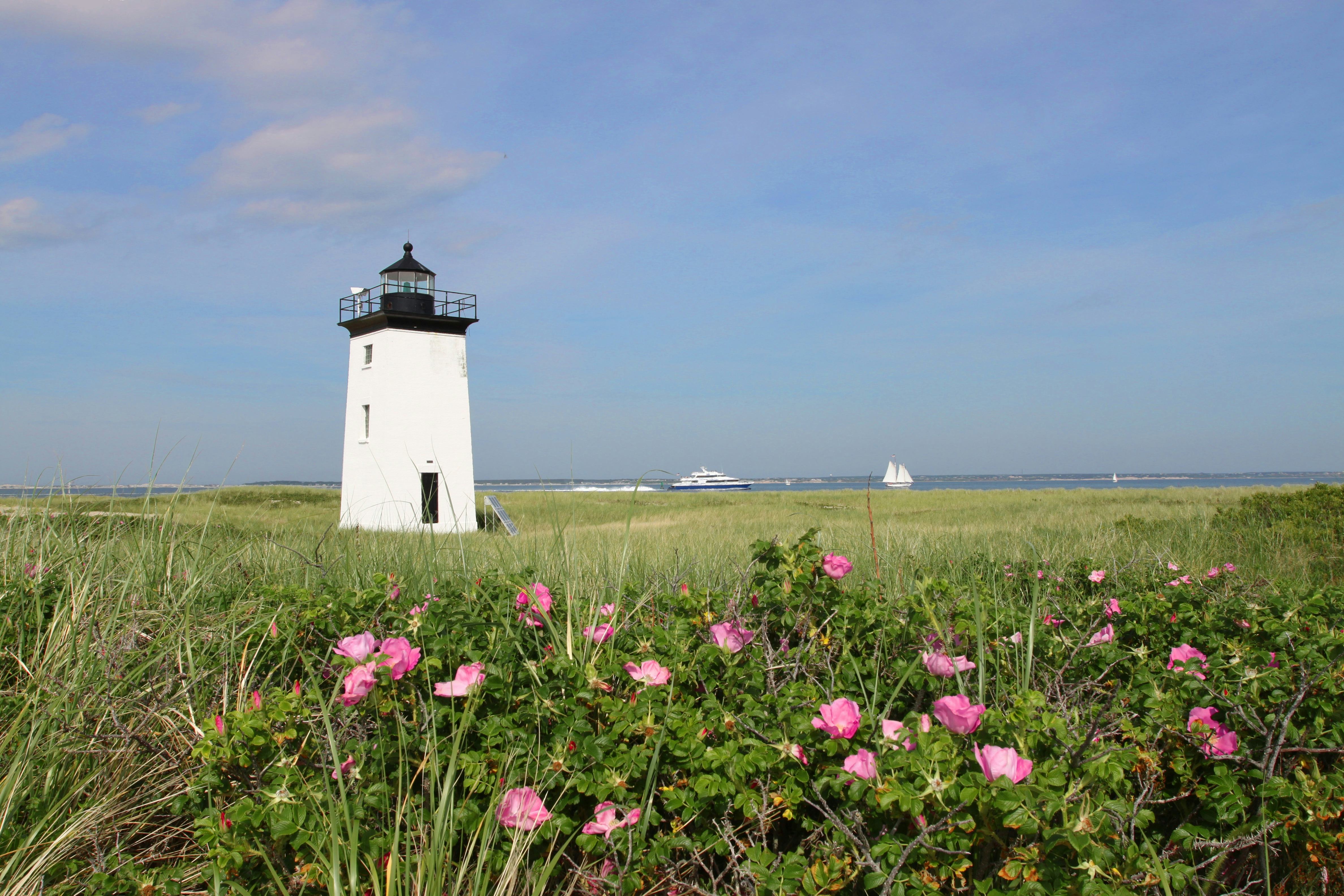 20 Reasons To Visit Cape Cod This Summer, Because Everyone Should ...