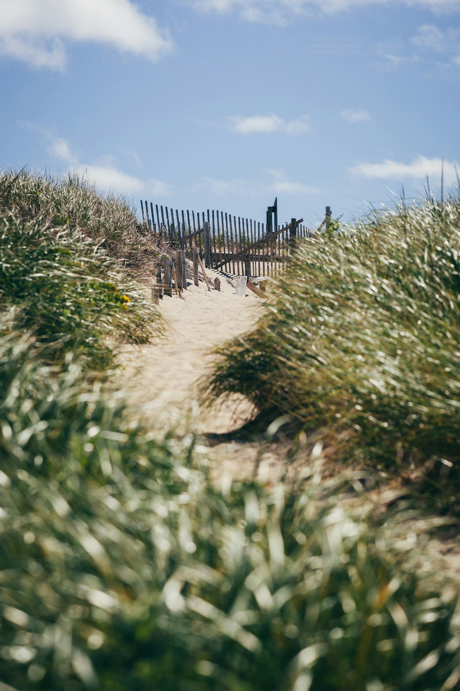 20 Reasons To Visit Cape Cod This Summer, Because Everyone Should ...