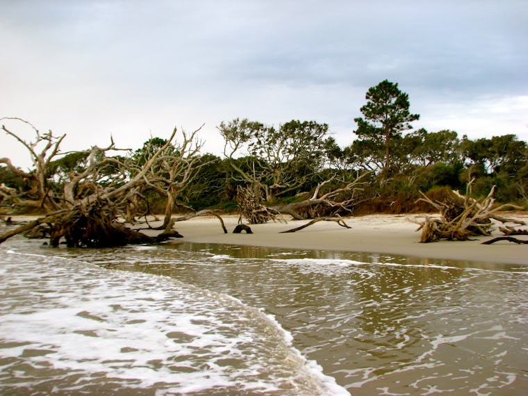 7 Southern Beaches You Need To Visit This Summer, Because There's A Lot ...