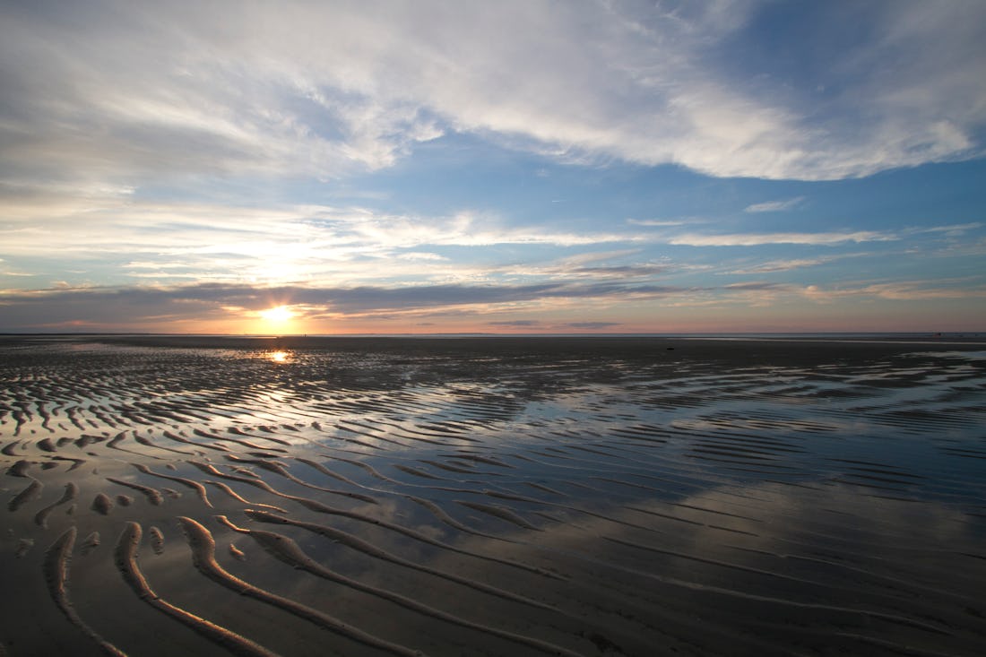 20 Reasons To Visit Cape Cod This Summer, Because Everyone Should ...