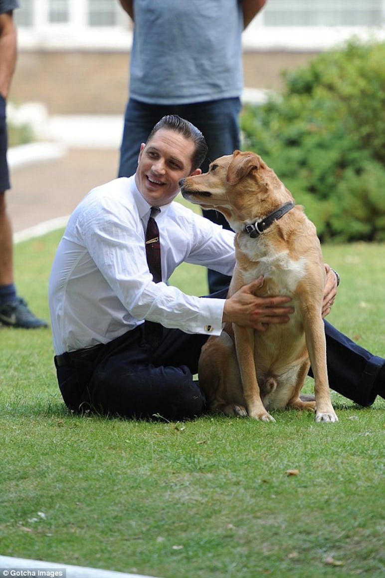 11 Pictures Of Tom Hardy With Dogs Because You Deserve To Take 5 ...