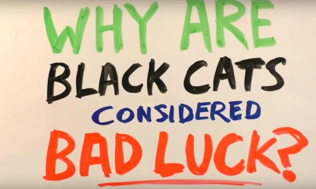 Why Are Black Cats Bad Luck? YouTube Channel Cole And Marmalade Answers ...