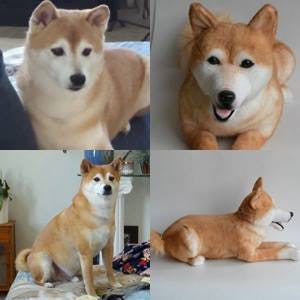 "Cuddle Clones" Will Make A Stuffed Version Of Your Pet, So Do With ...