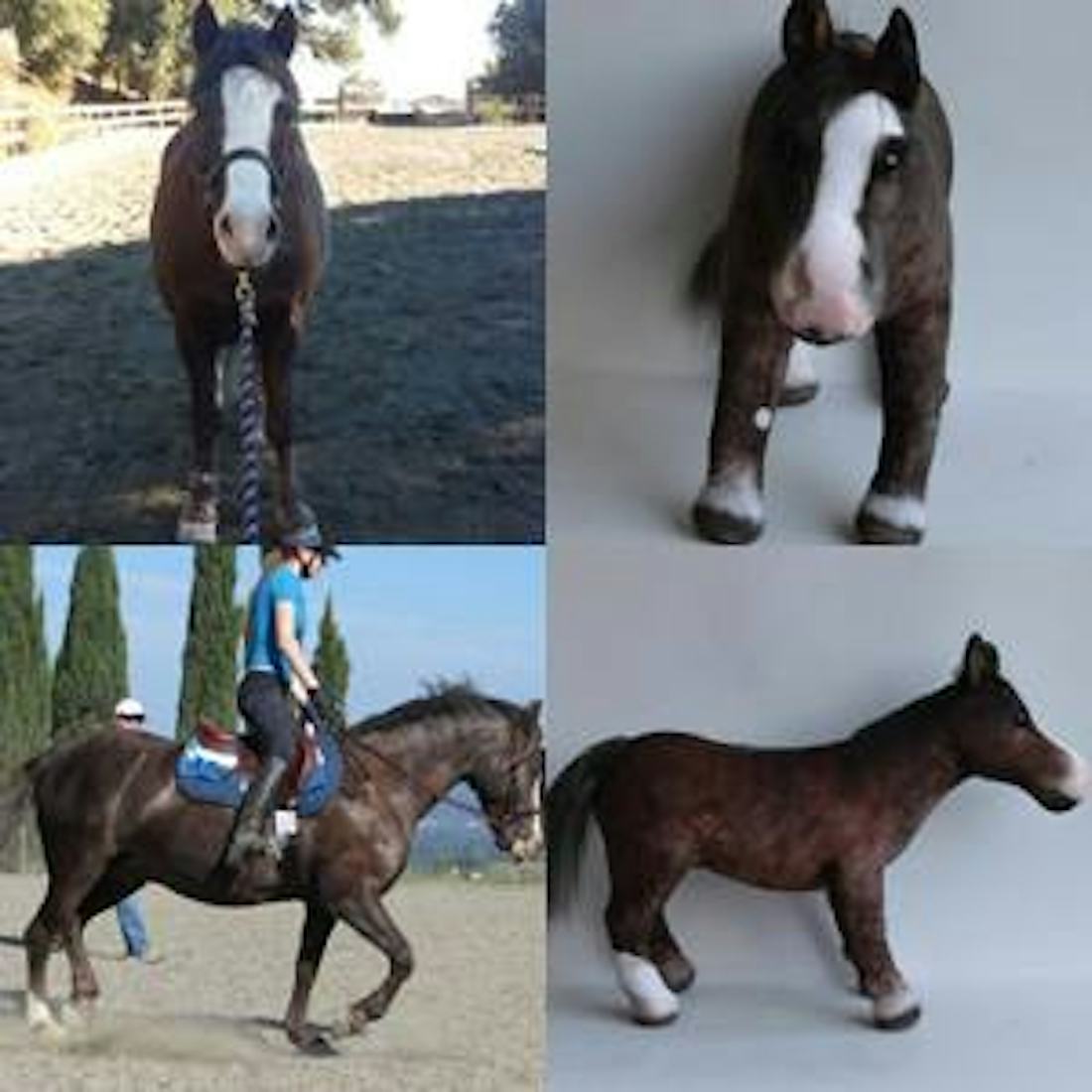 "Cuddle Clones" Will Make A Stuffed Version Of Your Pet, So Do With ...