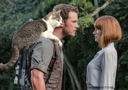 'Jurassic World' With Cats Instead Of Dinosaurs Somehow Manages To Make ...