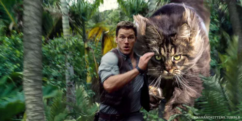 'Jurassic World' With Cats Instead Of Dinosaurs Somehow Manages To Make ...