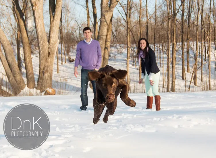 Wiener Dog Photobombs Engagement Pictures Like An Adorable Boss — PHOTOS