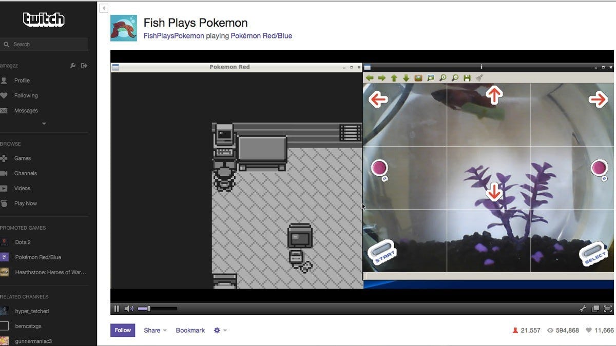 Grayson The Fish Plays Pokemon Red, And 20,000 People Are Watching