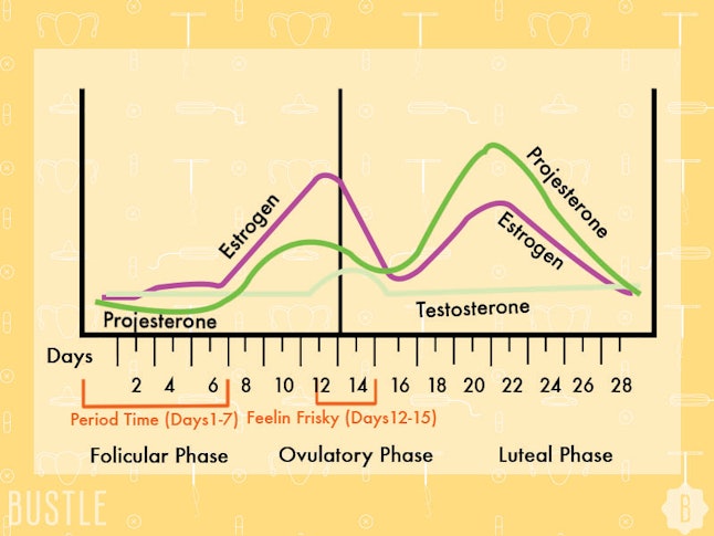 I Tracked My OKCupid “Likes” Alongside My Menstrual Cycle & Here’s What ...