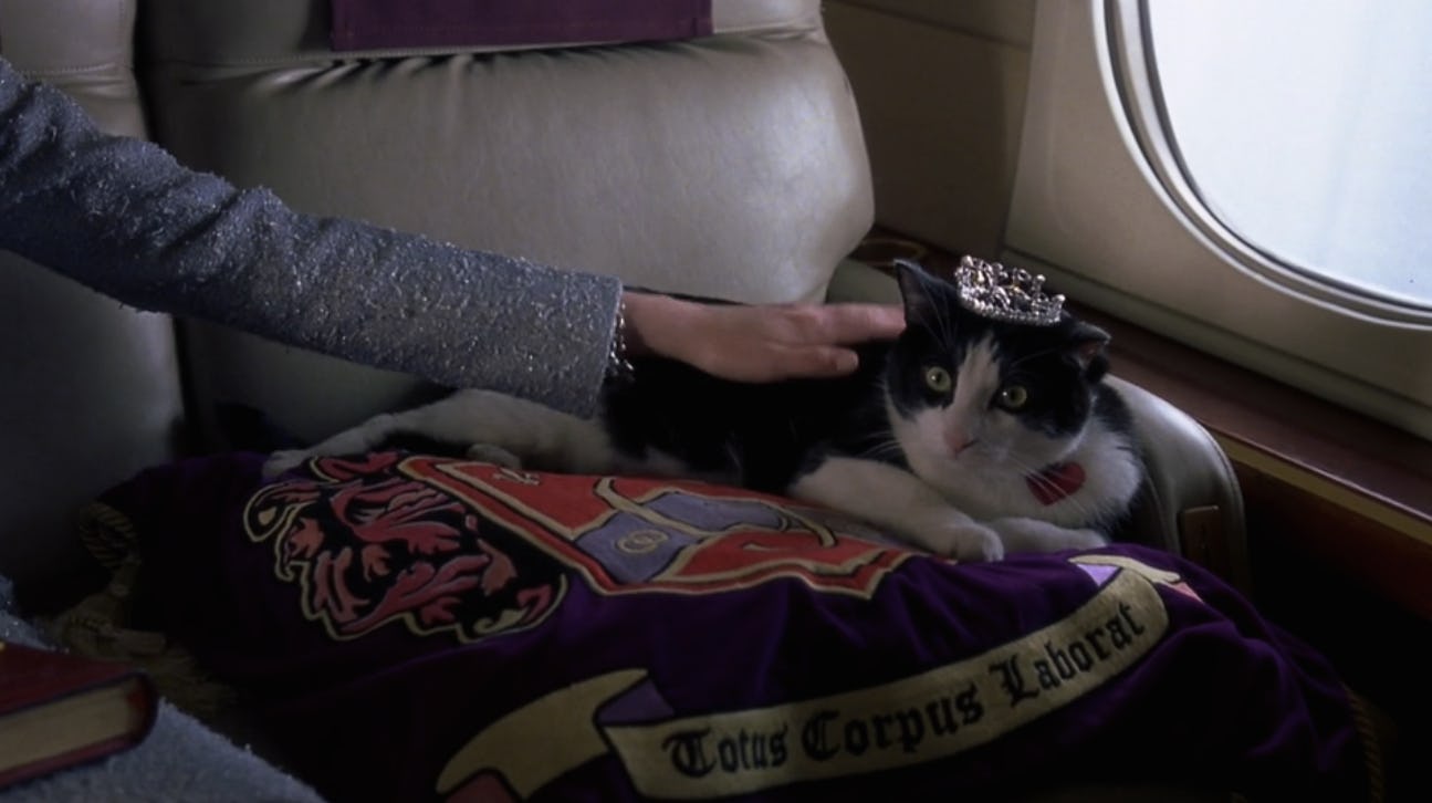 24 Crazy Things In 'The Princess Diaries' That You Never Thought About ...