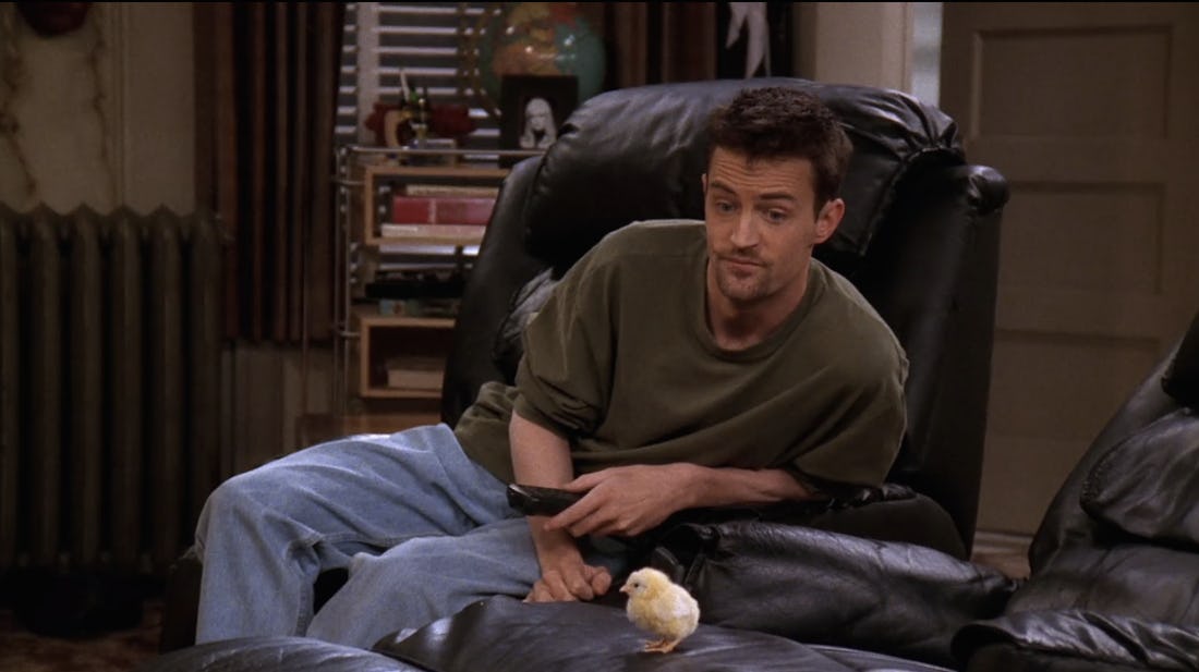 Ranking Every Animal On 'Friends,' From Marcel The Monkey To Mrs ...