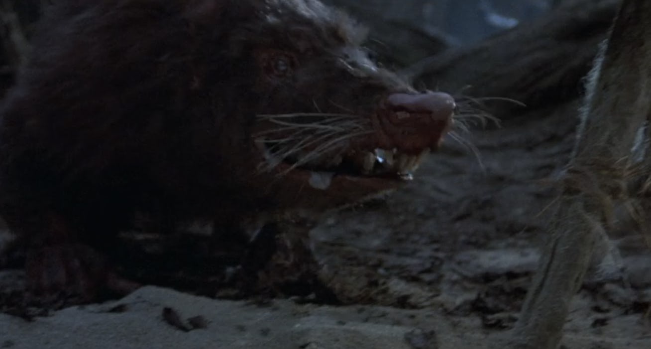 23 Hilarious Things You Notice When You Rewatch 'The Princess Bride'