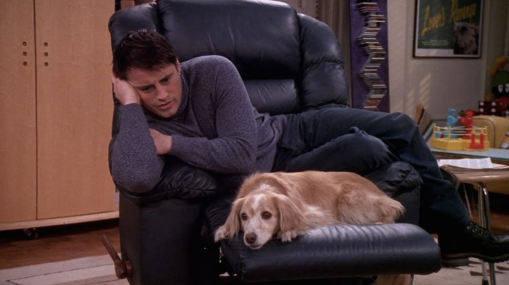 Ranking Every Animal On 'Friends,' From Marcel The Monkey To Mrs ...