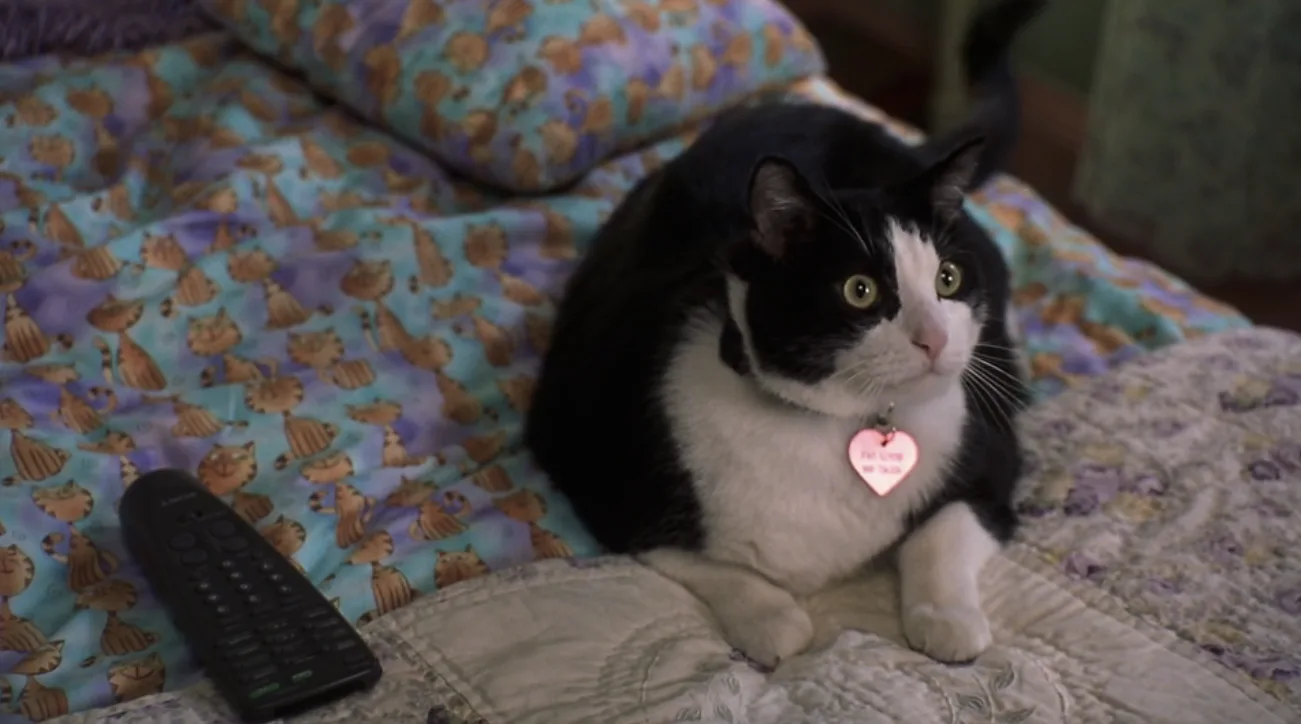 24 Crazy Things In 'The Princess Diaries' That You Never Thought About ...