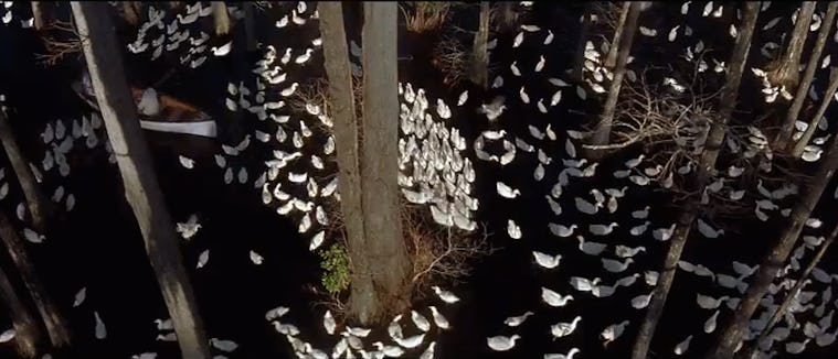 26 Insane 'The Notebook' Moments You Never Noted, Because Noah and ...