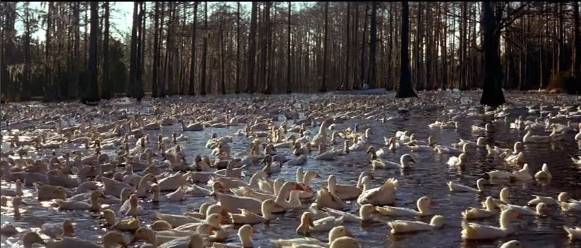 26 Insane 'The Notebook' Moments You Never Noted, Because Noah and ...