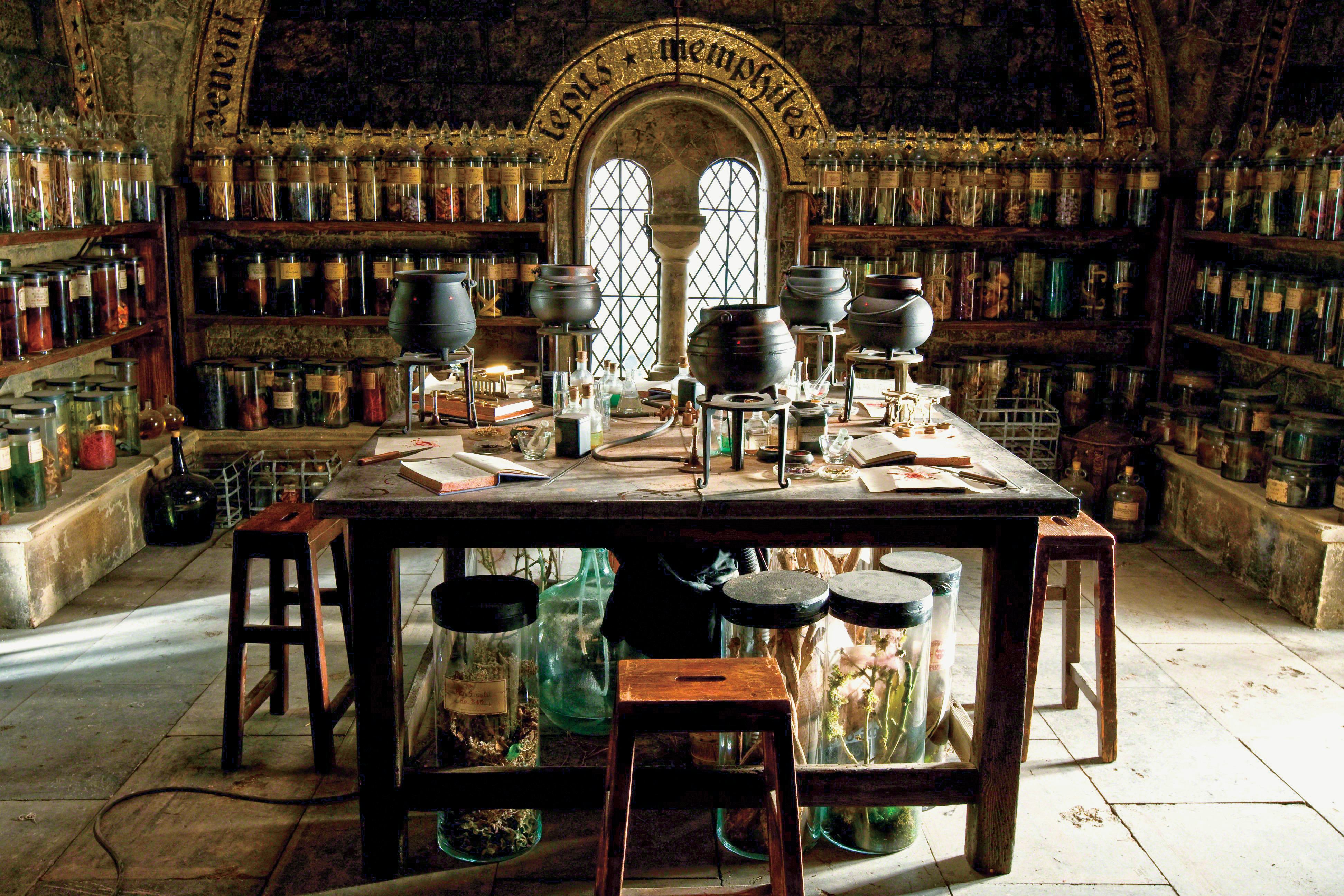 'Harry Potter: Magical Places from the Films' By Jody Revenson Will ...