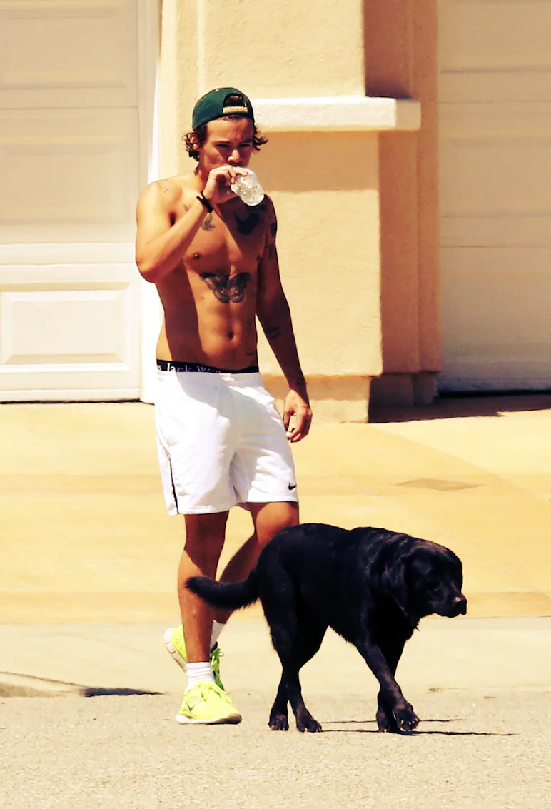Harry Styles & Animals Pictures Prove There's Nothing Better Than A ...