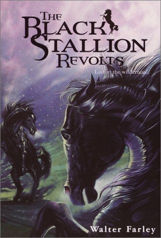 The 10 Best Books In the 'Black Stallion' Series, Ranked