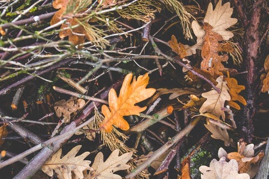 13 Literary Quotes About Fall To Get You Excited That The Season Is ...