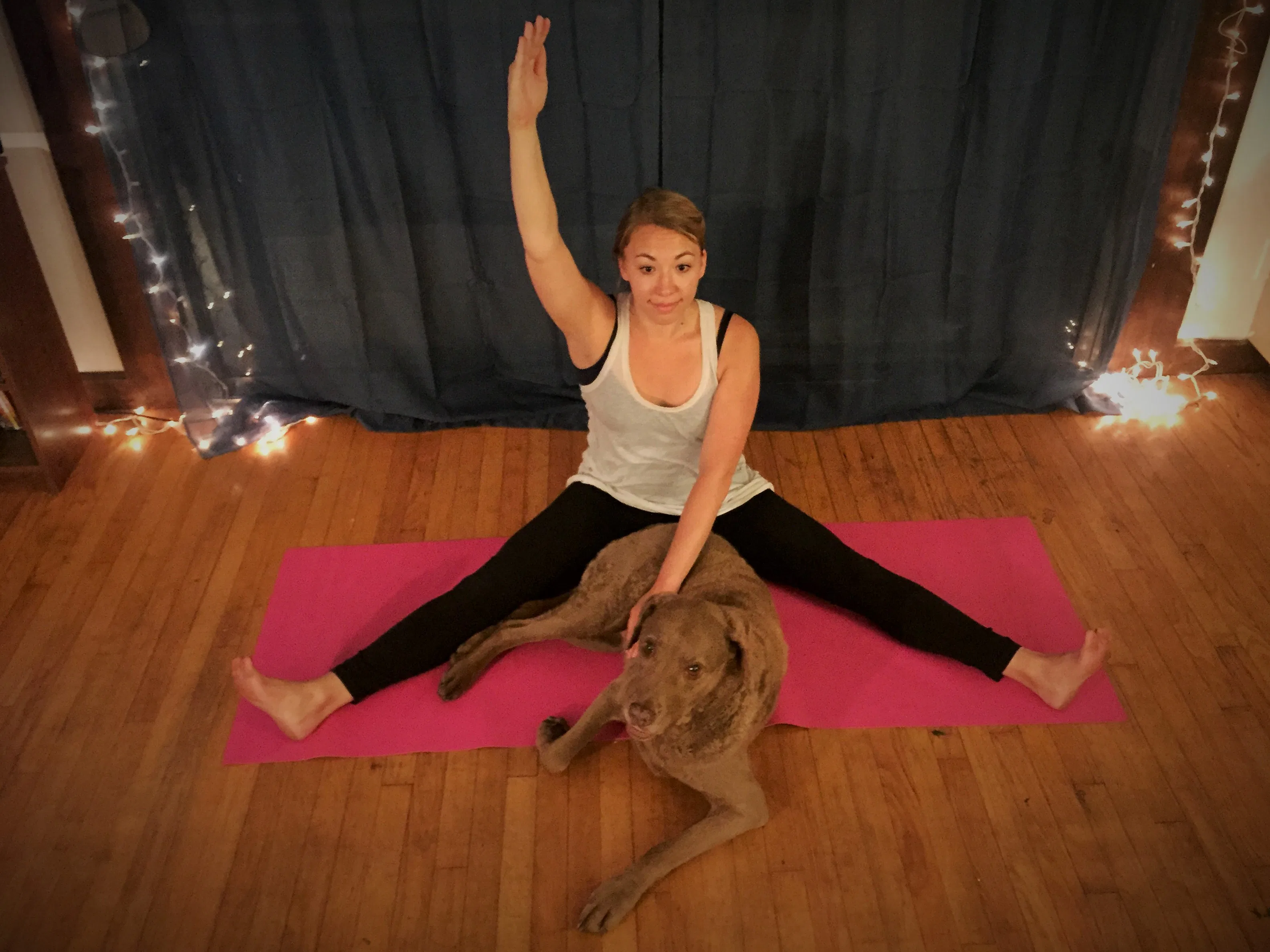 I Tried Doga, aka Yoga For You And Your Dog, And This Is What Happened