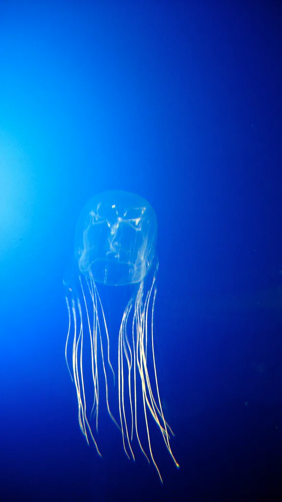 8 Times Jellyfish Were The Absolute Scariest Creatures On Earth