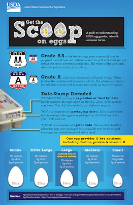 Egg Expiration Dates Are Not Regulated The Way You Might Have Thought ...
